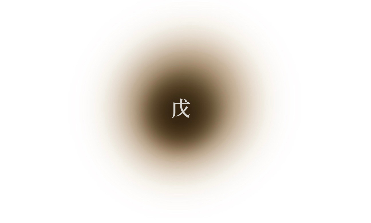 戊 2025 – Essay in Suchness